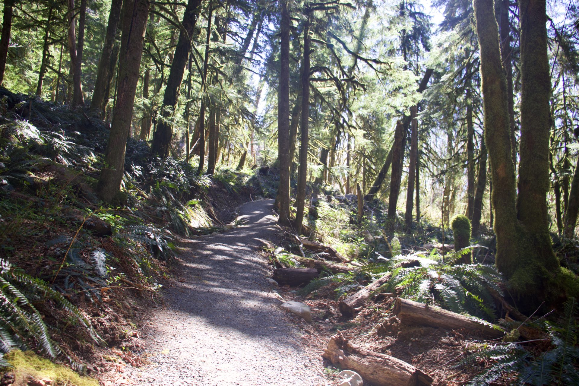 Garfield Ledges Trail - Elizabeth Seeks