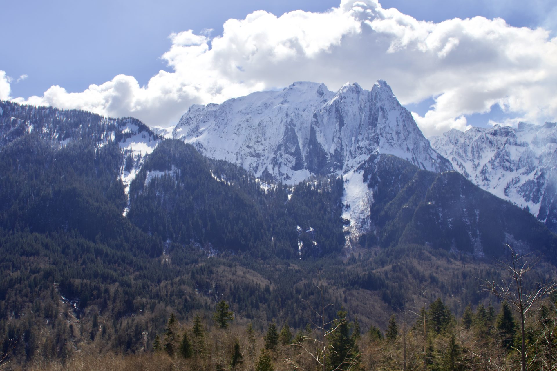 Heybrook Ridge Trail - Elizabeth Seeks