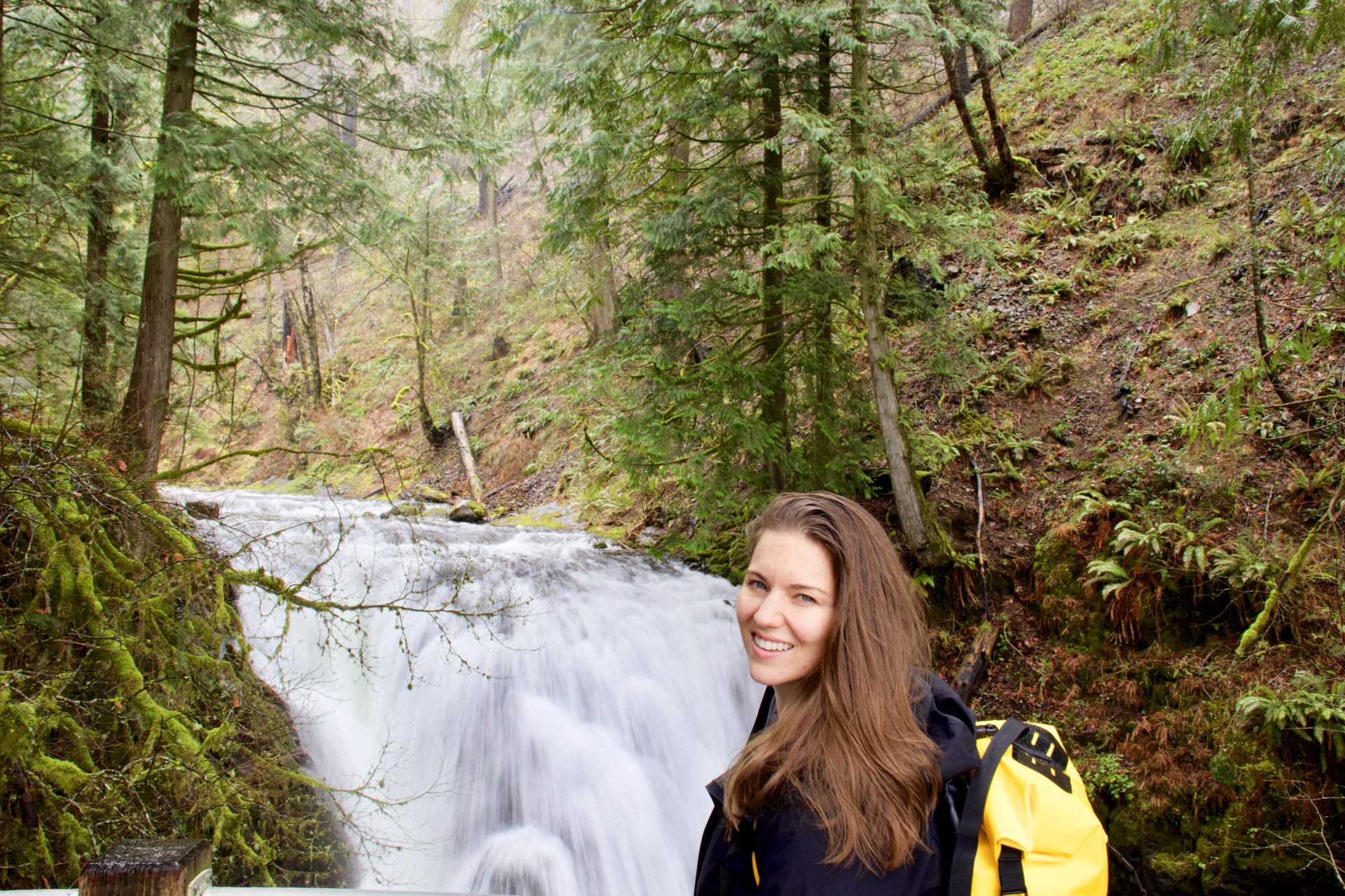 Multnomah Falls in Winter - Elizabeth Seeks