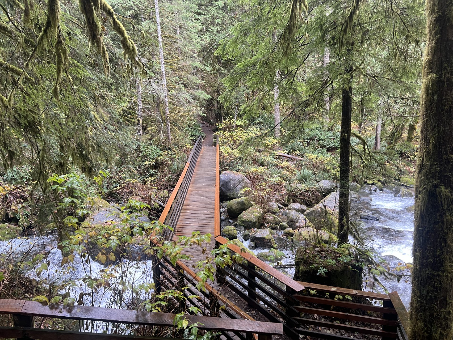 Everything you need to know about visiting Wallace Falls State Park ...